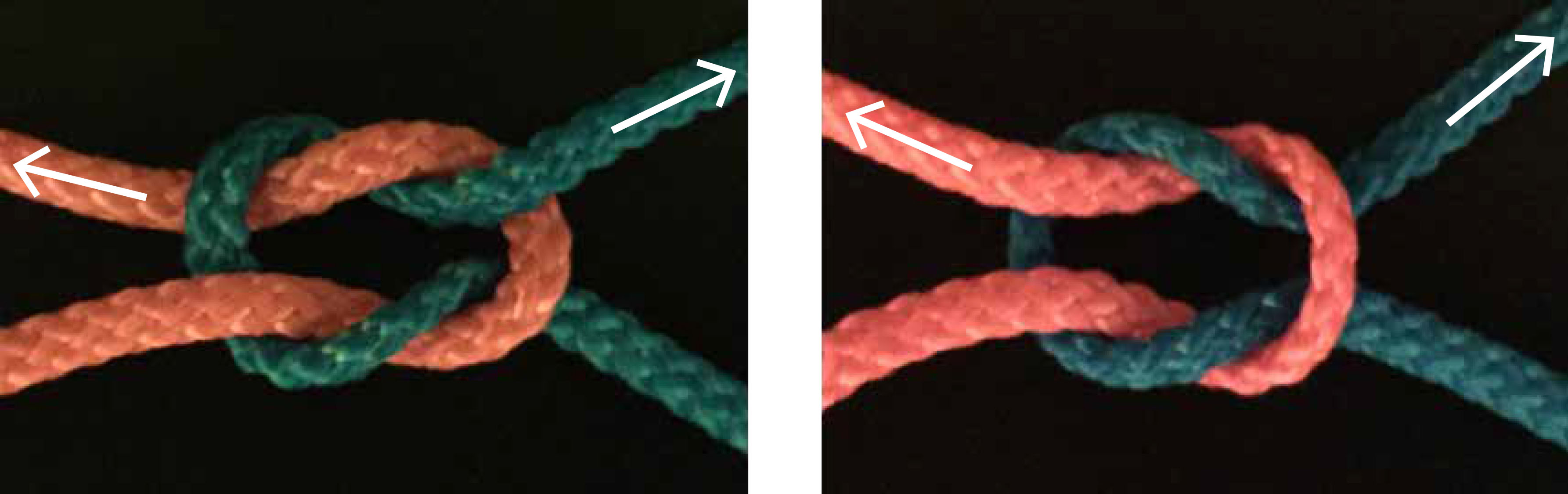 Topological Knot Mechanics | SIAM