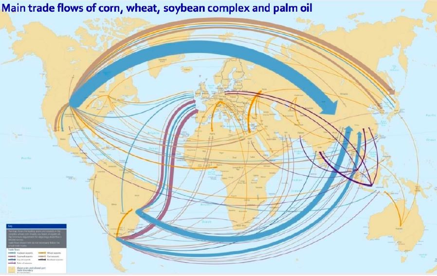 Assessing Risks to Global Food Security | SIAM