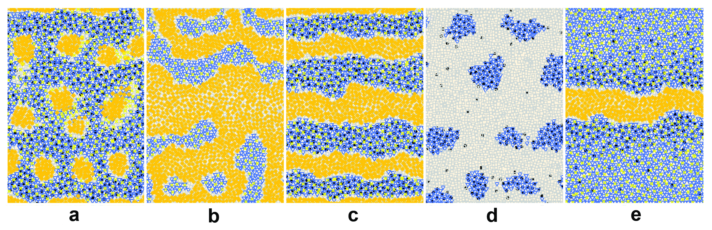 How Zebrafish Get Their Stripes... or Spots | SIAM