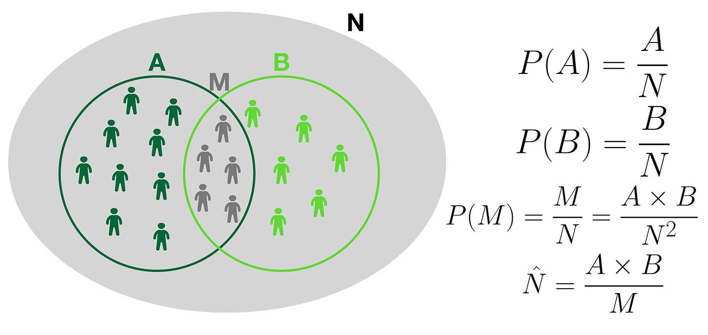 Statistical Methods Estimate Missing Information on Human Rights ...