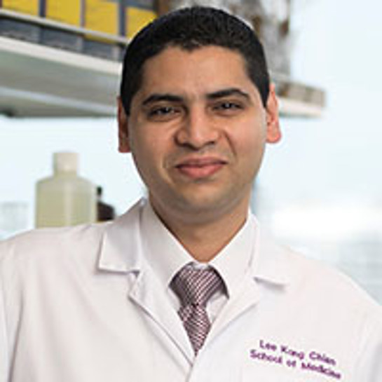 Integrative Microbiomics: Analytical Approaches to Respiratory Microbiota | SIAM