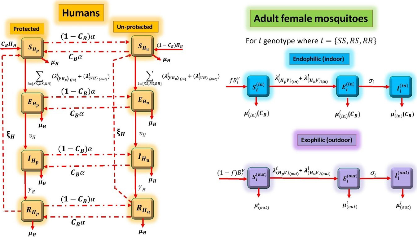 The Impact of Mosquito Insecticide Resistance on Malaria Control | SIAM