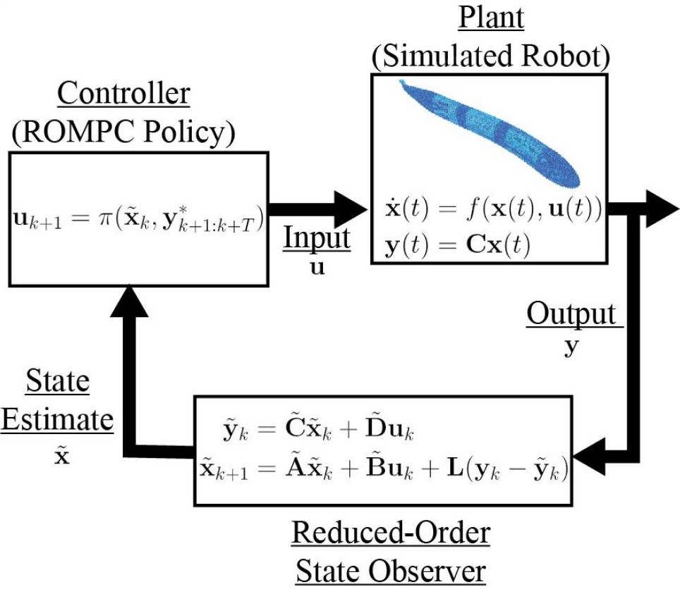 Data-driven Model Reduction to Control Soft Swimming Robots | SIAM