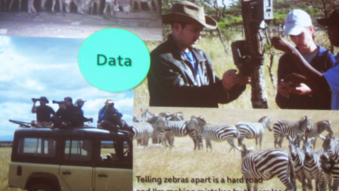 Understanding Animal Dynamics Through Behavioral Ecology | SIAM