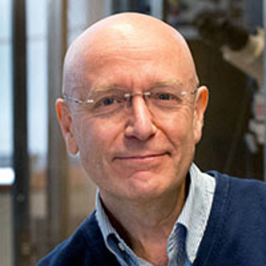 Towards Predictive Control of African Infant Infections | SIAM