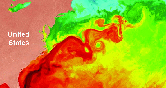Analyzing Multiple Time Scales in Two-Dimensional Fluids Using ...