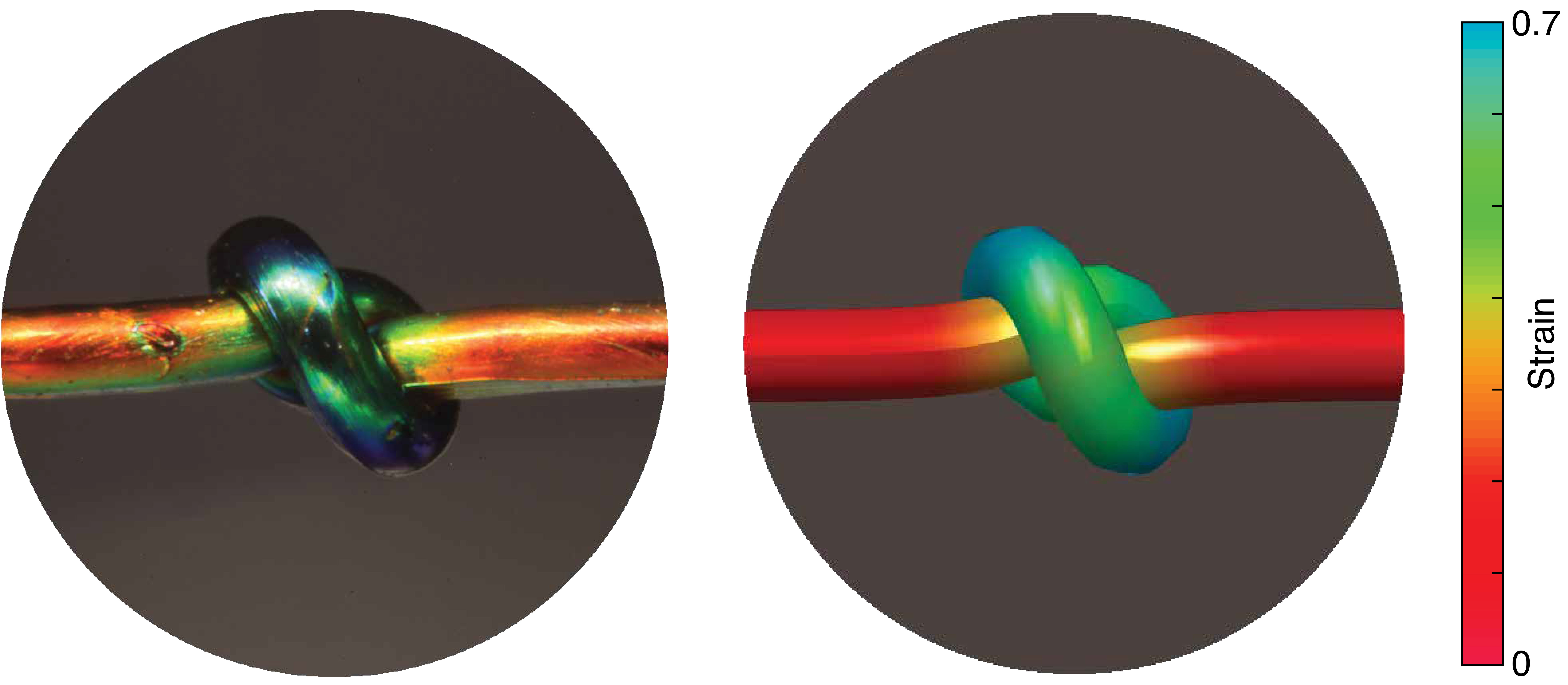Topological Knot Mechanics | SIAM