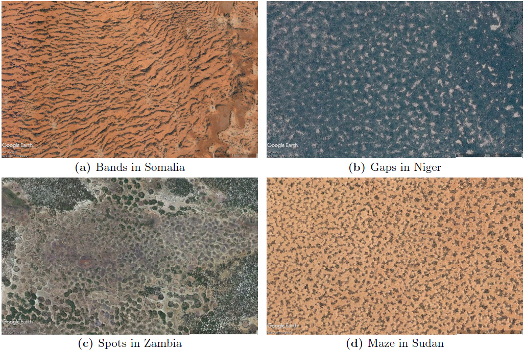 Spatial Patterning Increases Ecosystem Resilience | SIAM