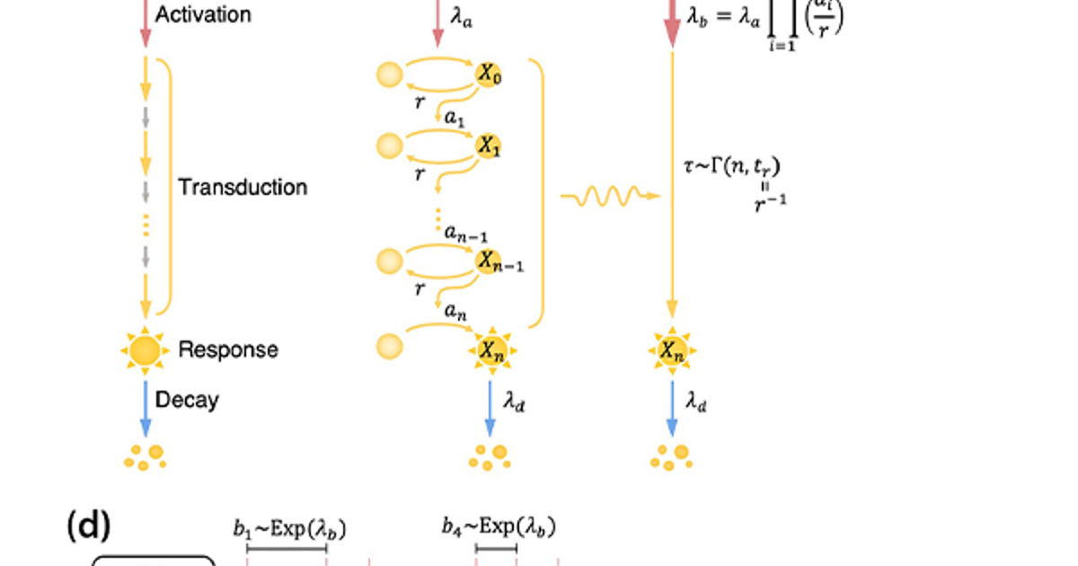Systematic Inference Identifies Major Source of Heterogeneity in Cell ... Systematic Inference Identifies Major Source of Heterogeneity in Cell ...