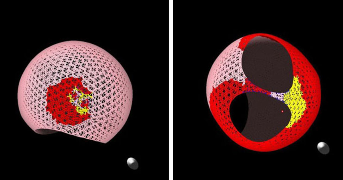 Dynamic Left Atrium Model Sheds Light on Supraventricular Tachycardia | SIAM