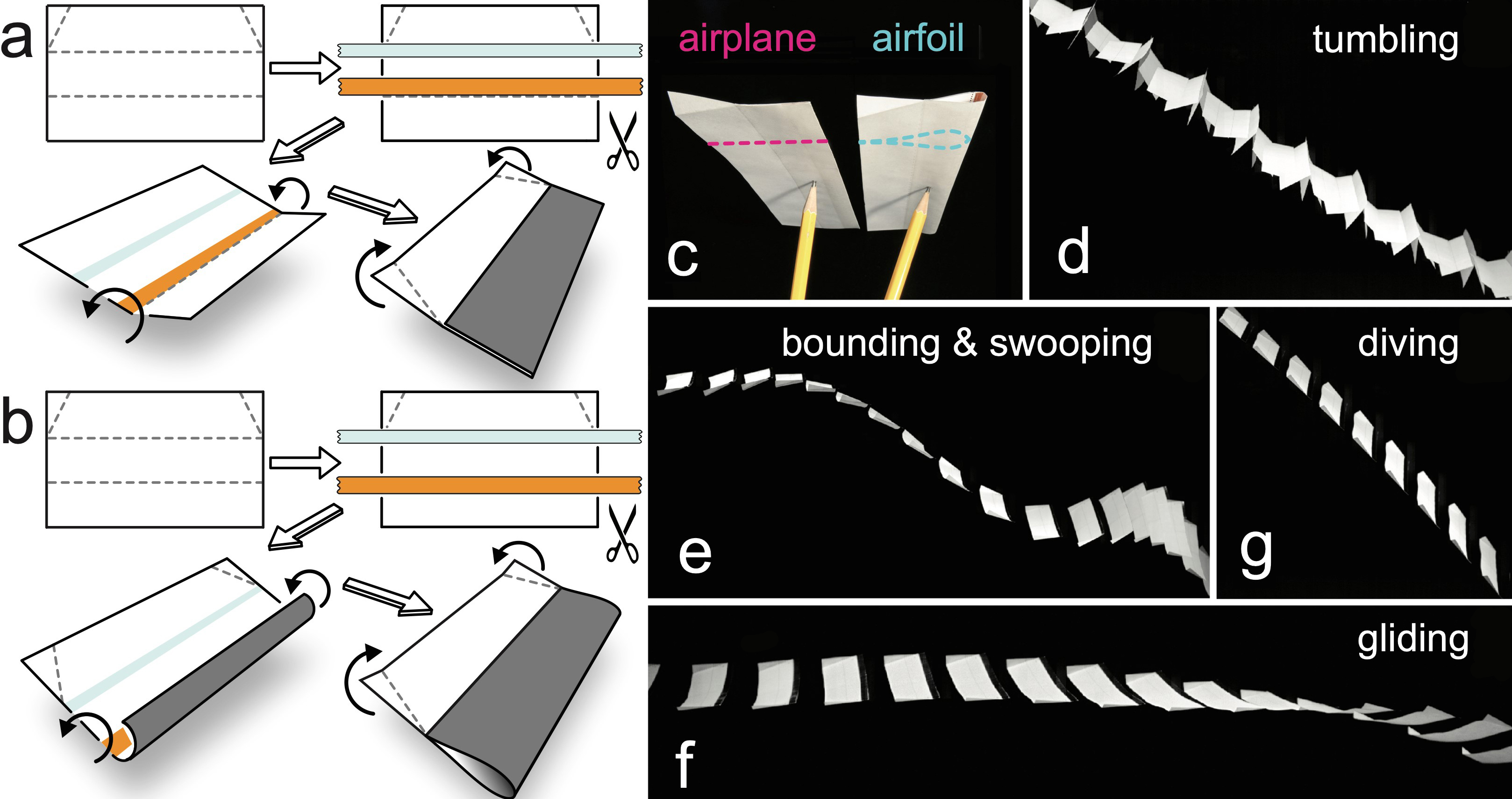 The Unconventional Aerodynamics of Paper Airplanes | SIAM