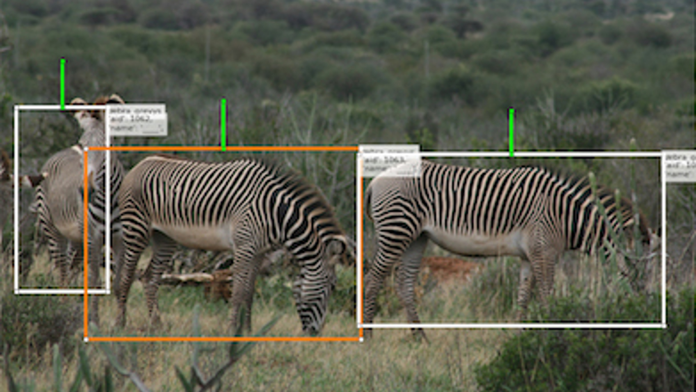 Computational Behavioral Ecology | SIAM