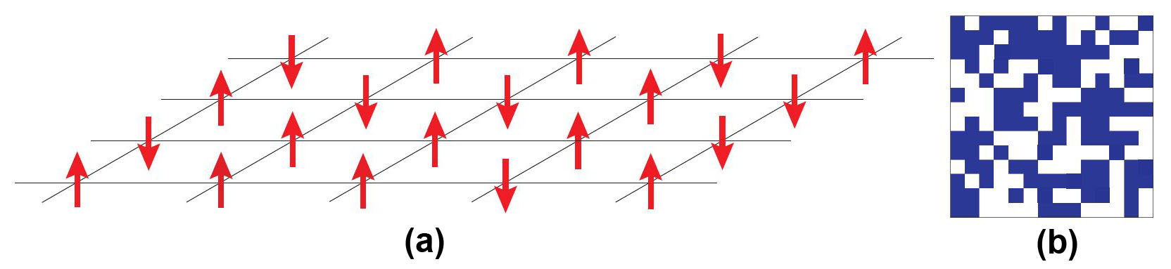 From Magnets to Melt Ponds | SIAM