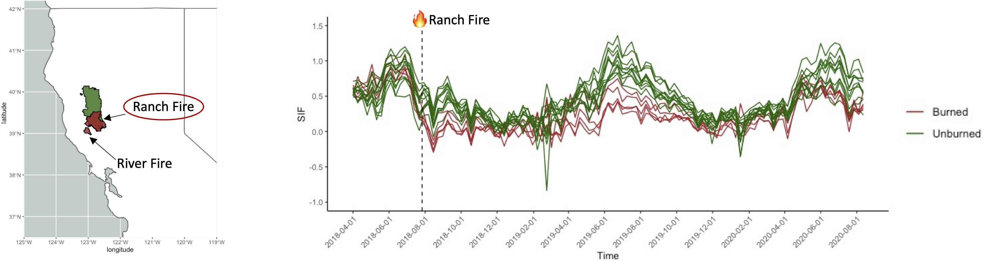 Functional ANOVA Method Models the Recovery of Photosynthetic Activity ...