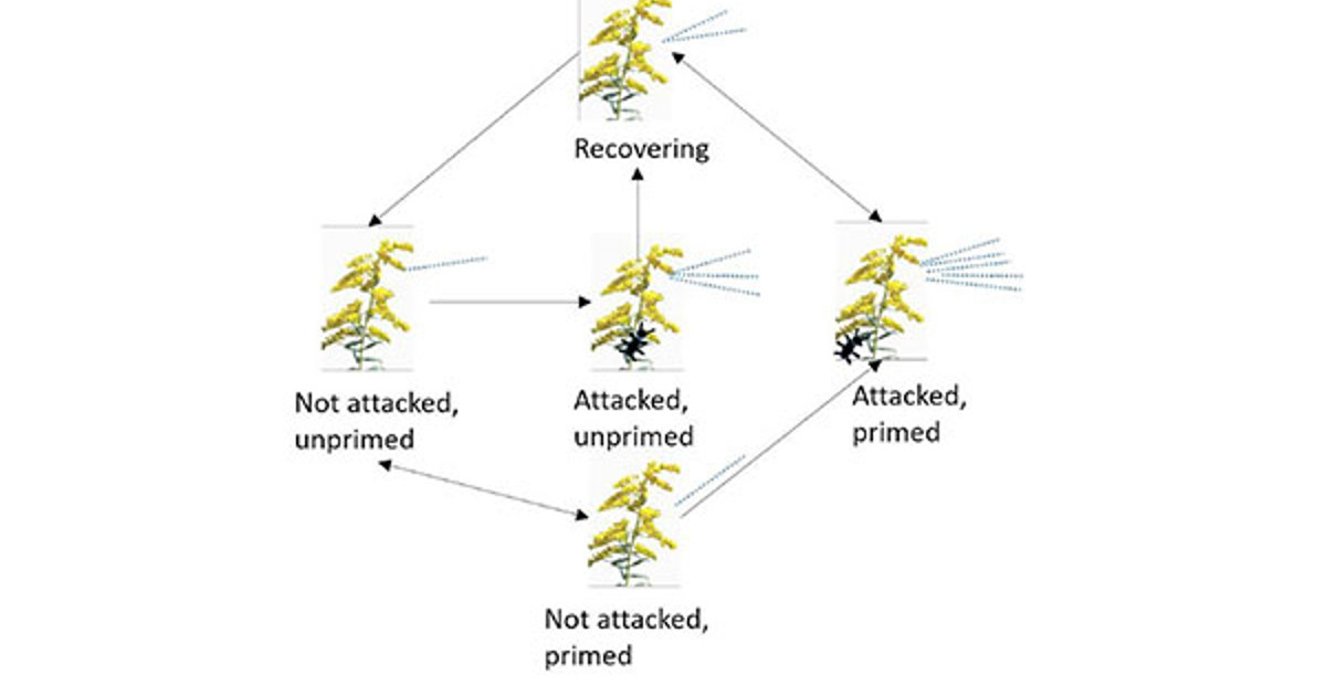 Volatile Plant Defenses Against Insect Herbivores | SIAM