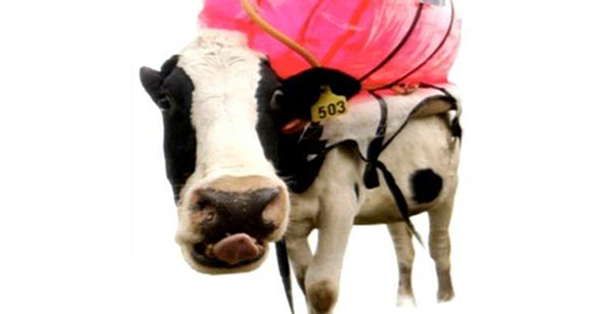 Data Science: What is It and How is It Taught? | SIAM