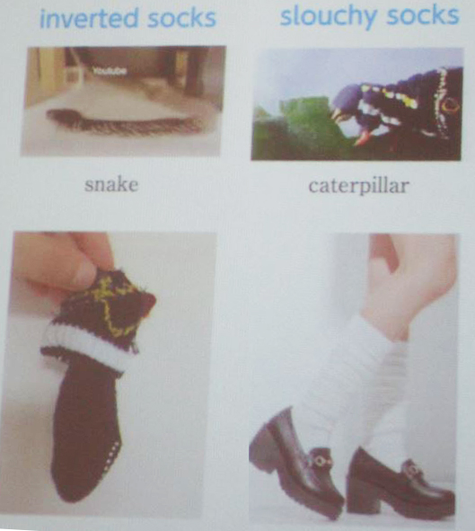 Quantifying the Boundary Conditions of Molting Behavior in Snakes and ...