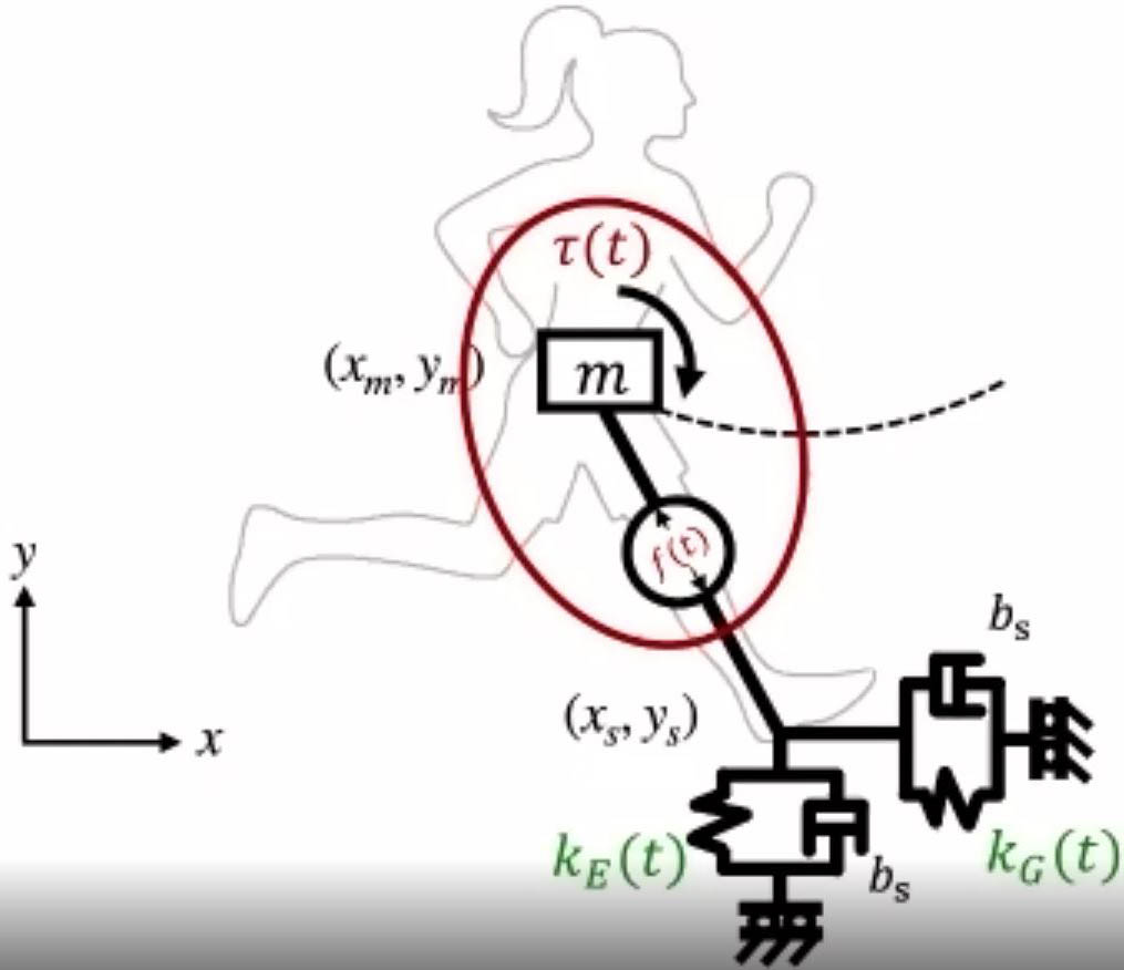Mathematical Model Optimizes Shoe Midsoles for Peak Running Performance ...