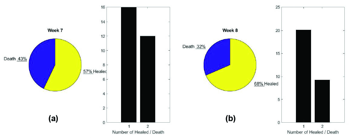 A Mathematical Model to Support Hospital Workflow Management During a ...