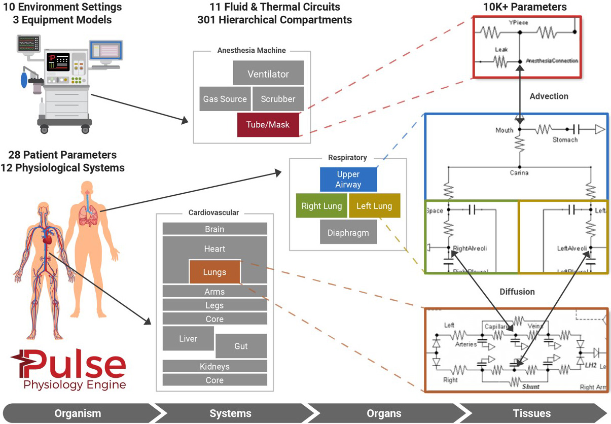 Recent Developments in Kitware’s Pulse Physiology Engine | SIAM