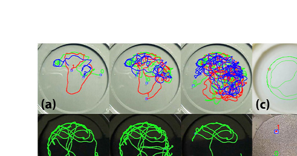 From Sequences Of Images To Trajectories A Tracking Algorithm For Dynamical Systems Siam