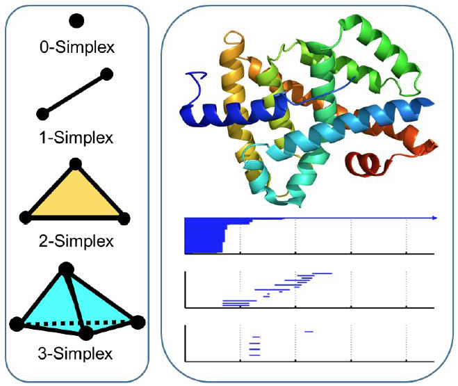Mathematics at a Historic Transition in Biology | SIAM
