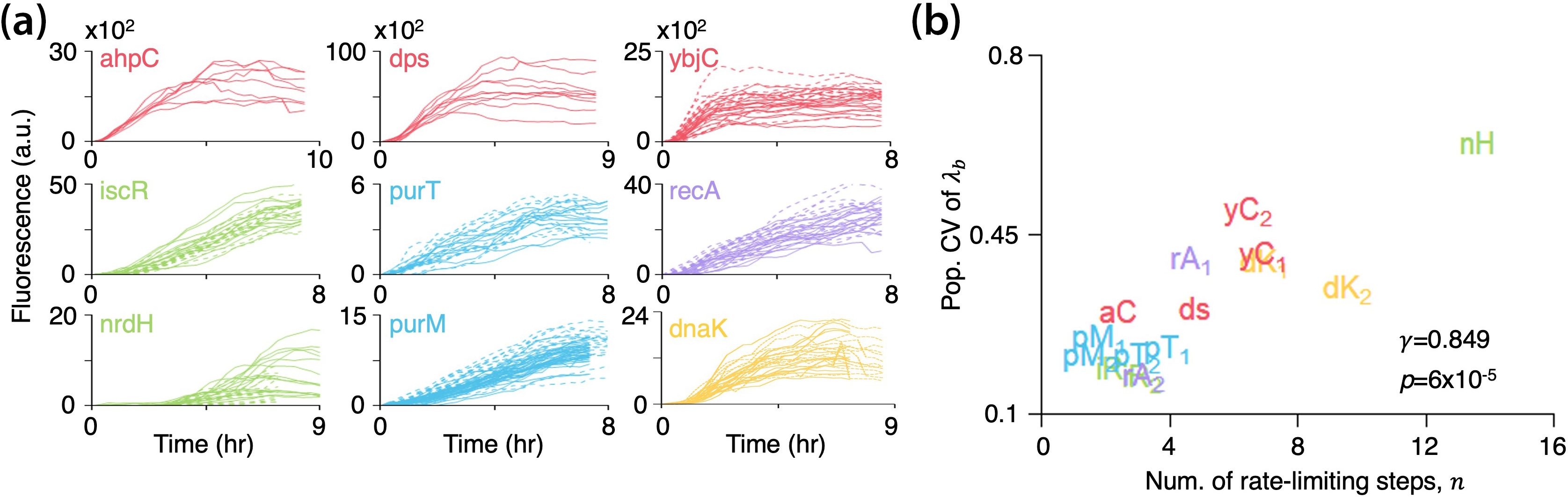 Systematic Inference Identifies Major Source of Heterogeneity in Cell ... Systematic Inference Identifies Major Source of Heterogeneity in Cell ...