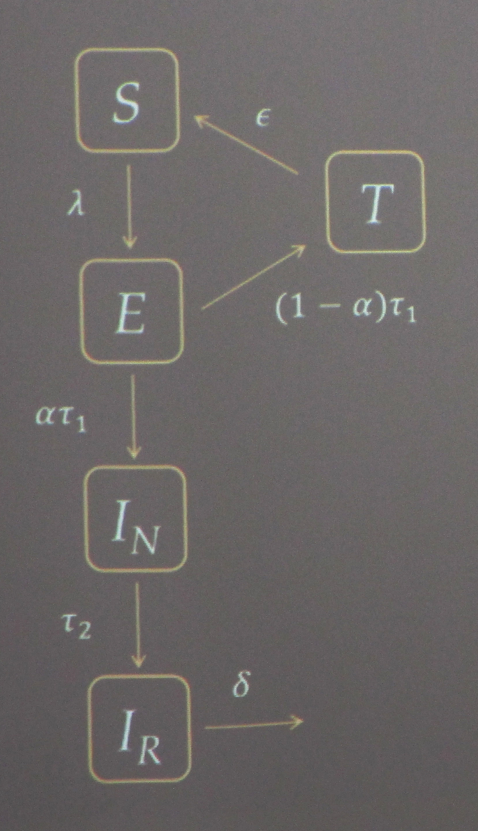 Model Investigates the Dynamics of Rabies Transmission in Vampire Bat ...
