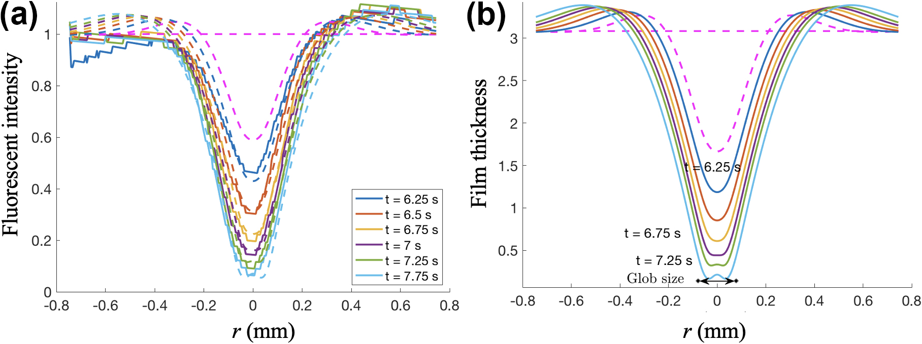 Mechanistic Determination and Parameter Estimation for Tear Film ...