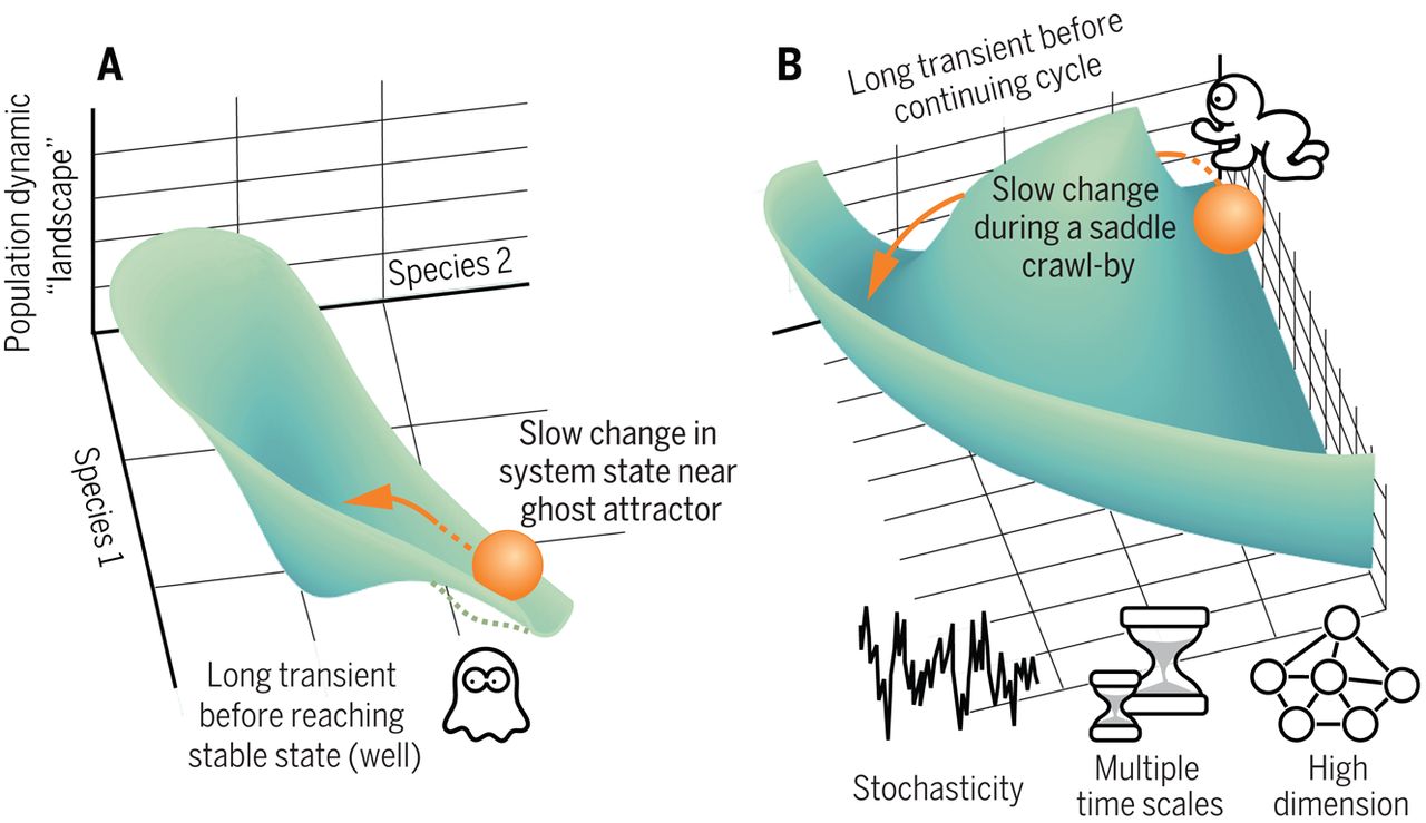 Ecological Transients and the Ghost of Equilibrium Past | SIAM