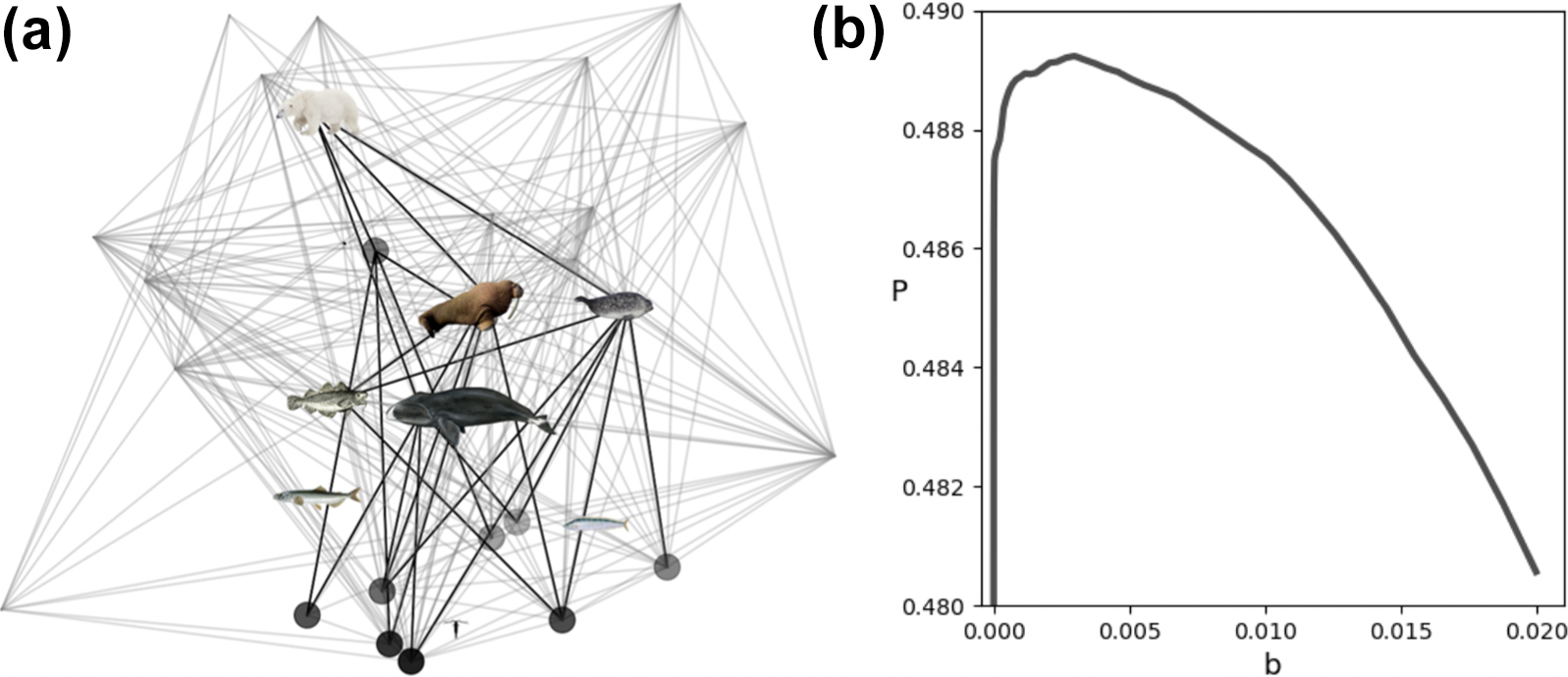 Generalized Modeling Reveals Stabilization in Arctic Marine Food Web ...