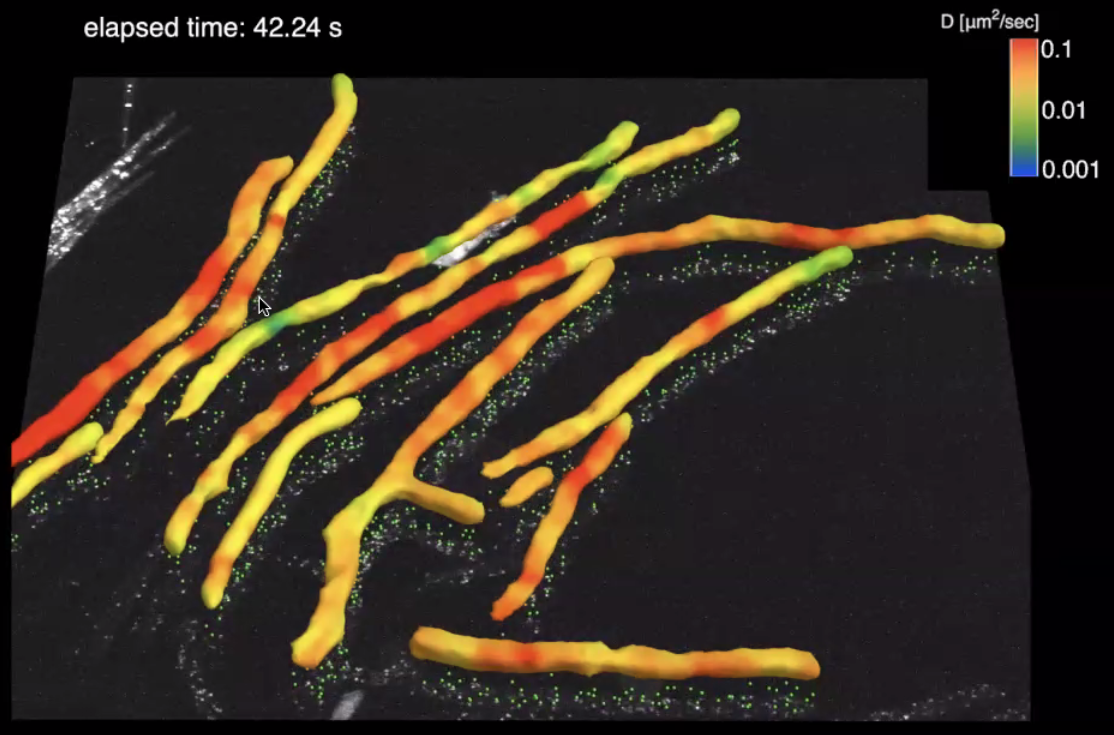 Three-Dimensional Particle Tracking in Cells | SIAM