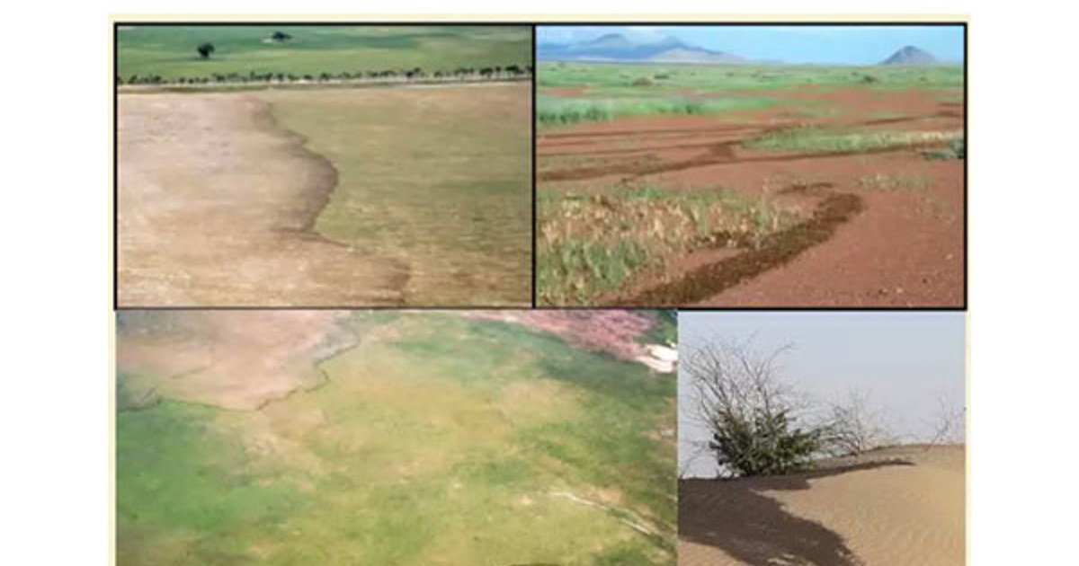 Mathematical Models of Hopper Bands for the Australian Plague Locust | SIAM