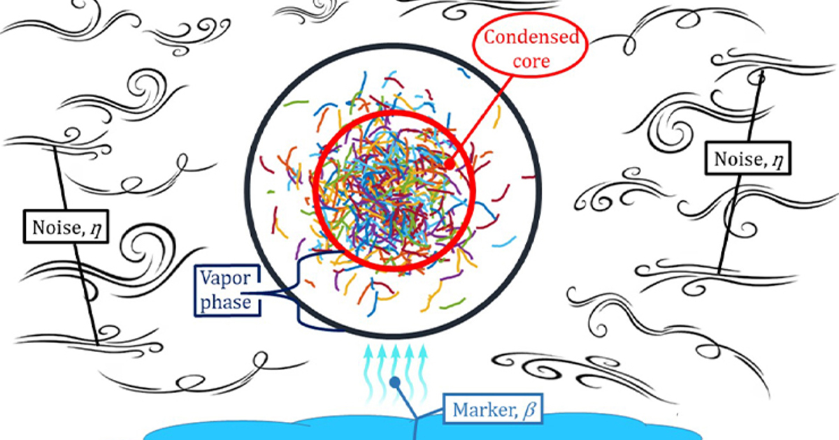 Insect Swarms, Chaos, and Phase Transitions | SIAM