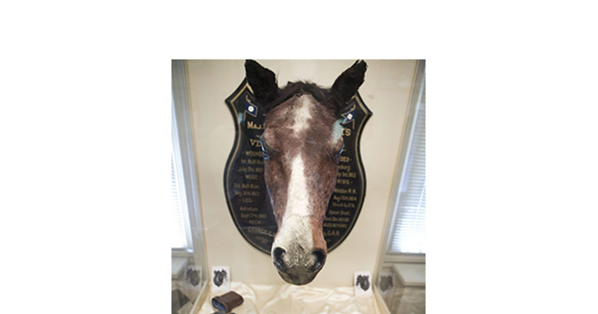 Pickett’s Charge: What Modern Mathematics Teaches Us About Civil War ...