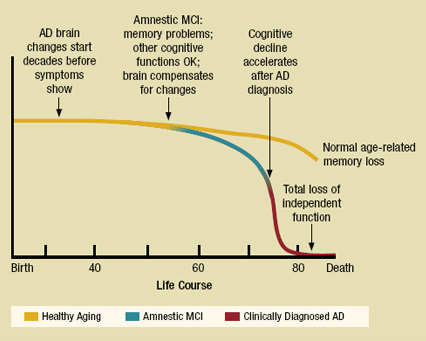 Mathematical Model Explores Clinical Biomarkers and Personalized ...