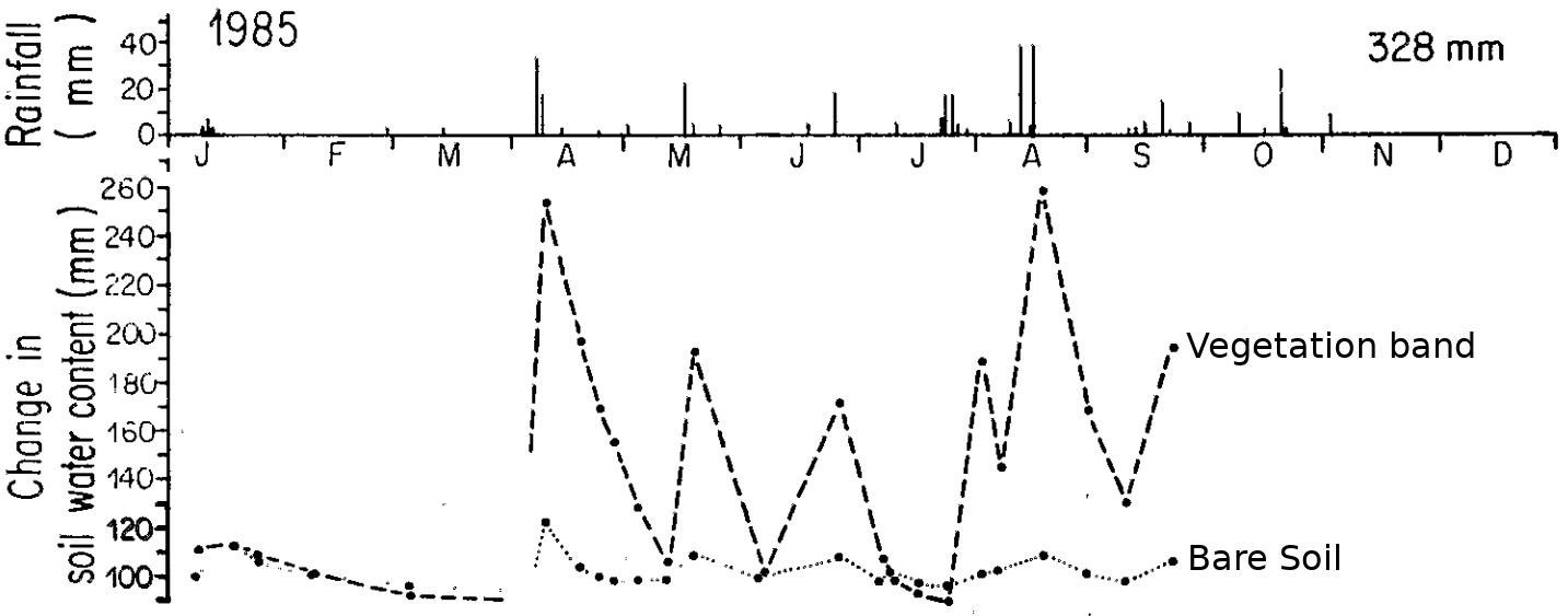 A Fast-Slow Switching Model of Banded Vegetation Pattern Formation in ...