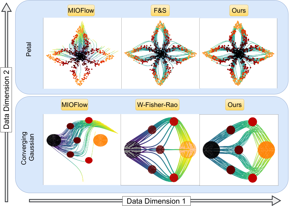 Novel Algorithm Infers Particle Trajectories in Cell Point Clouds | SIAM