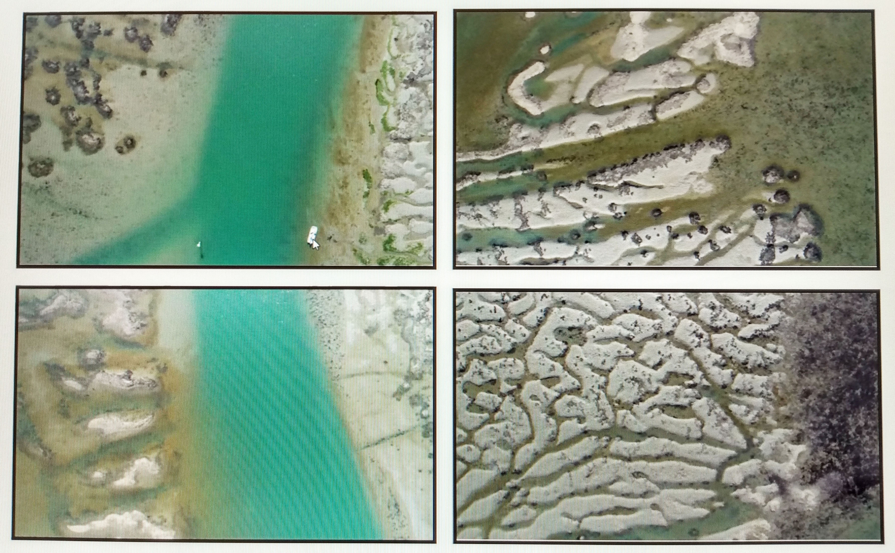 Pattern Formation in Intertidal Oyster Reefs | SIAM