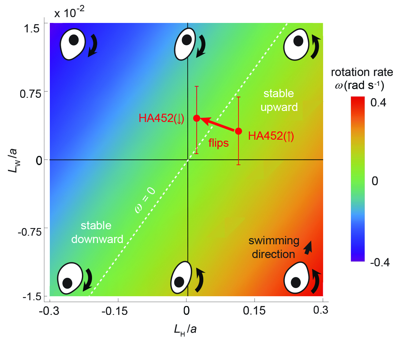 Phytoplankton Exhibit Rapid Shape-shifting in Response to Turbulence | SIAM