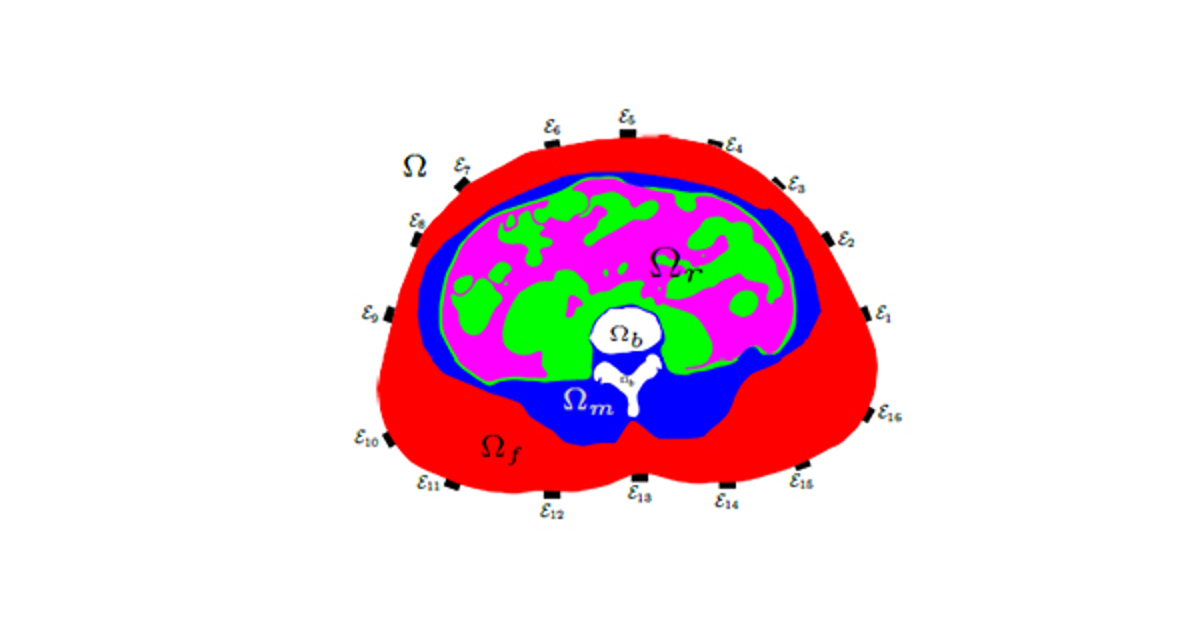 Diagnosing Obesity by Mathematically Estimating Abdominal Fat | SIAM