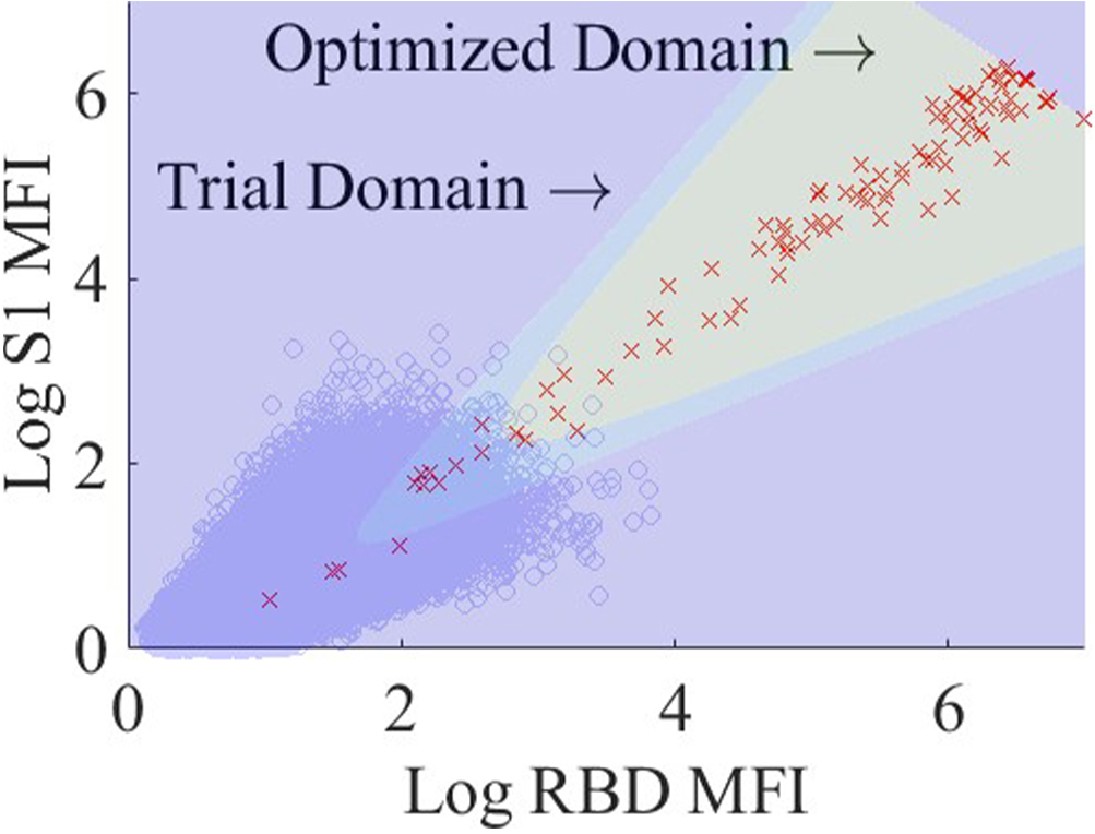Optimization and Data Analysis for Improved COVID-19 Detection and ...