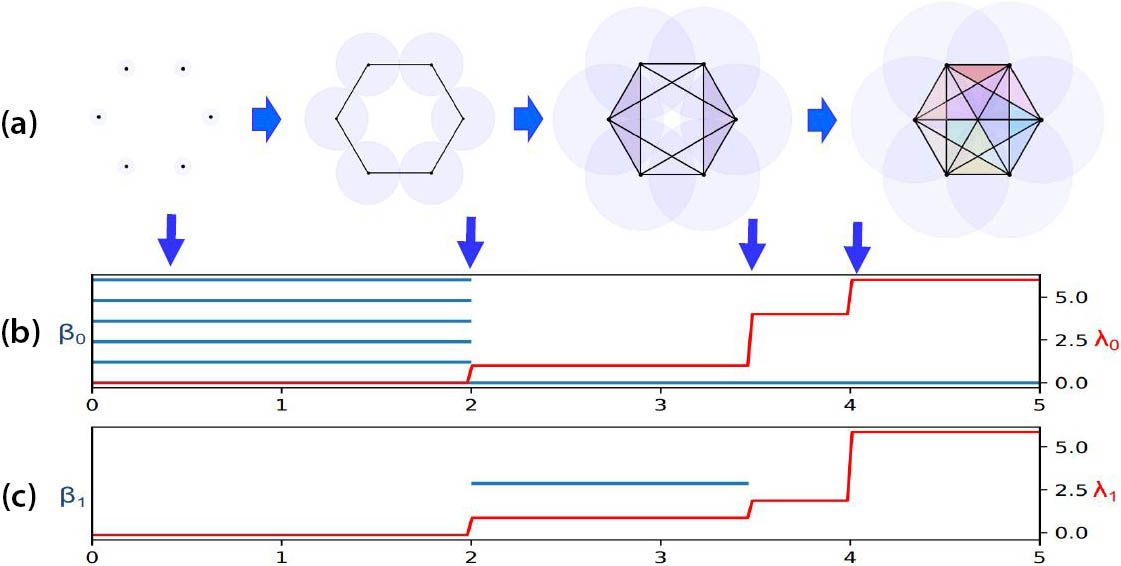 Mathematics-assisted Directed Evolution and Protein Engineering | SIAM