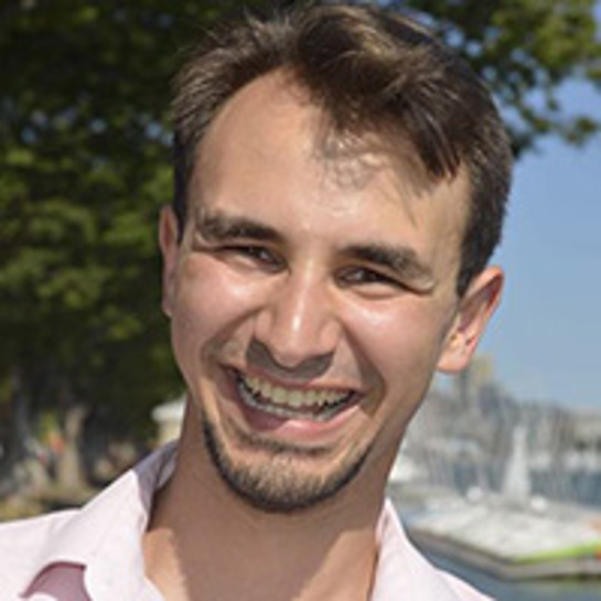 Networks, Dynamics, and Prestige: How Hierarchies Emerge from ...