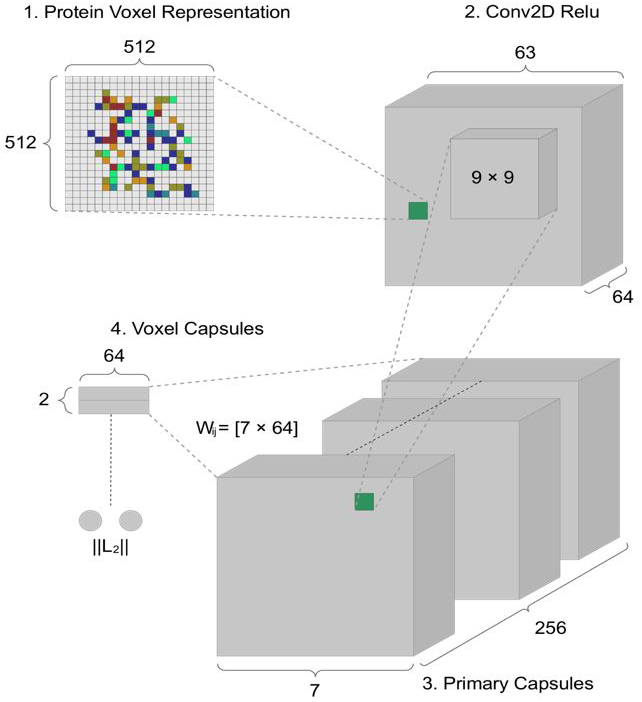 Working at the Intersection of Deep Learning with Protein Structure ...