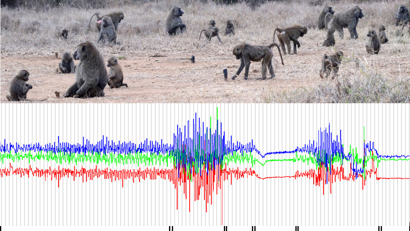 Computational Behavioral Ecology | SIAM