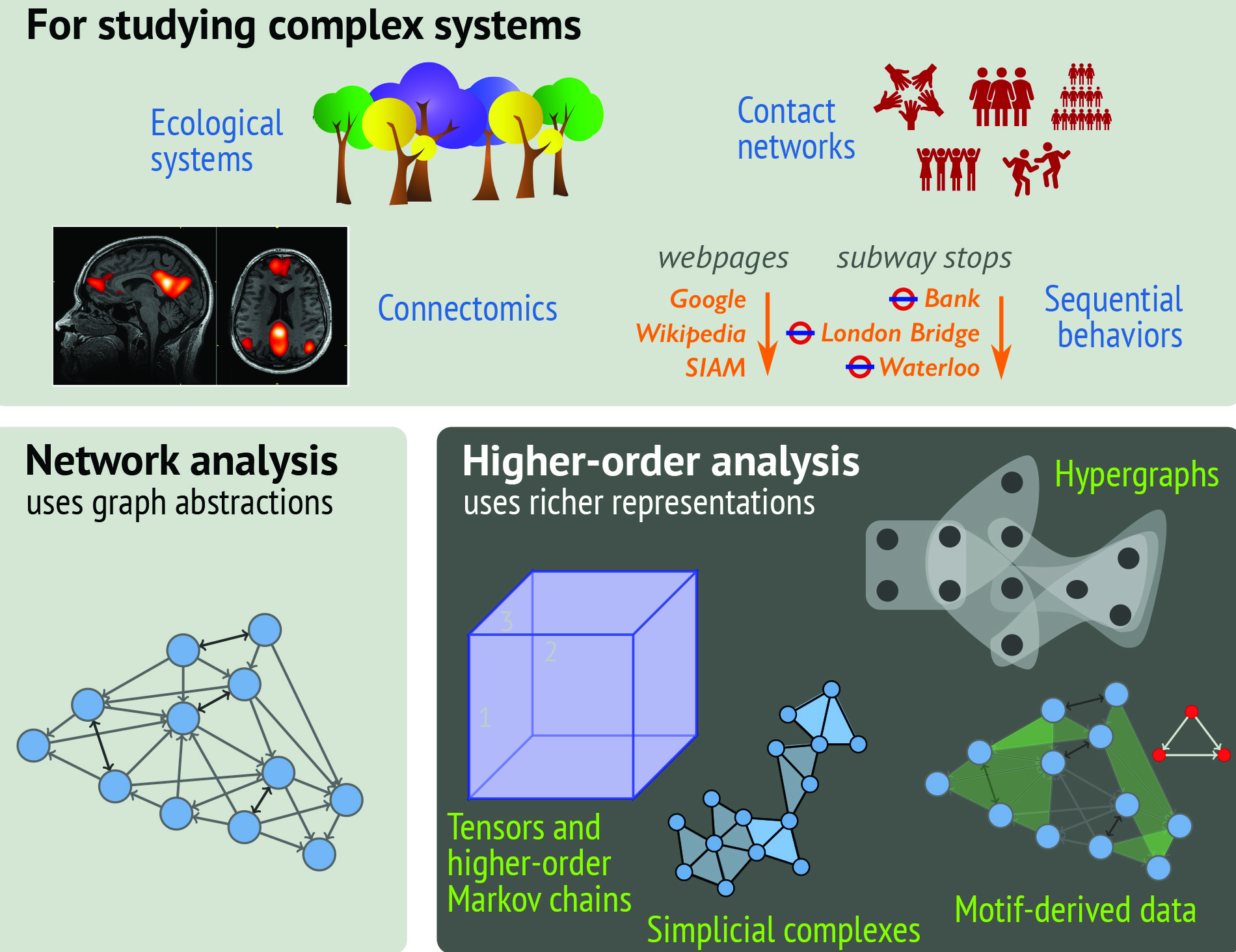 Higher-order Network Analysis Takes Off, Fueled by Old Ideas and New Data | SIAM