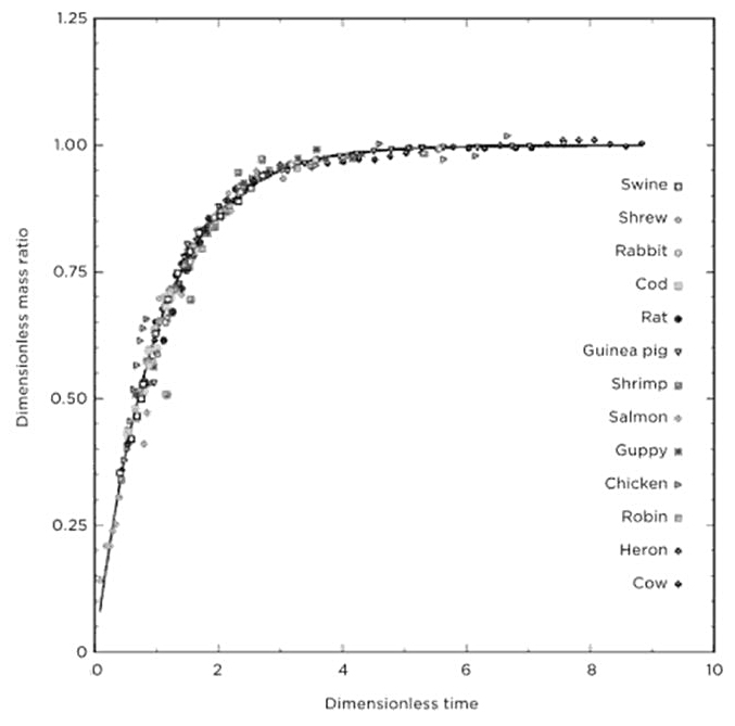 The Underlying Laws Binding Cities, Companies, and Living Systems | SIAM