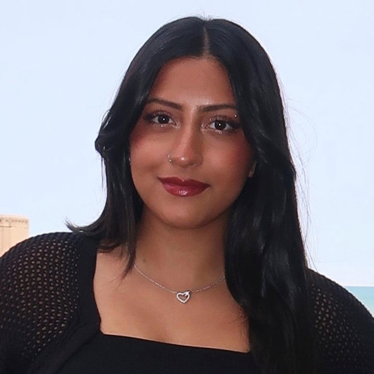 Mathematics in Action: Launching the Loyola University Chicago SIAM ...