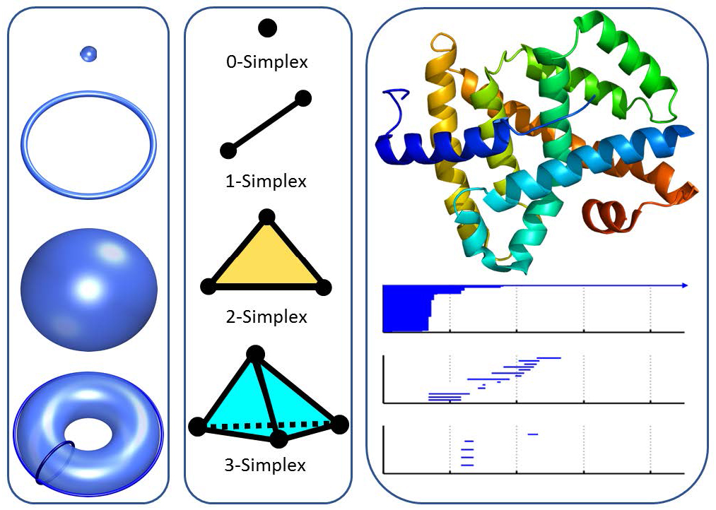 Persistent Homology Analysis of Biomolecular Data | SIAM